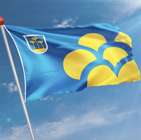 Vlag Gemeente Zoetermeer Kopen Snelle Levering And 87