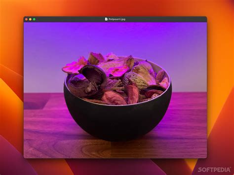 Qview Download Mac Softpedia