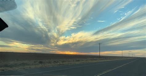 Cindy Gilbert Texas About Me