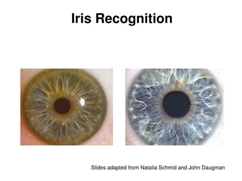 Ppt Iris Recognition Powerpoint Presentation Free Download Id2809942