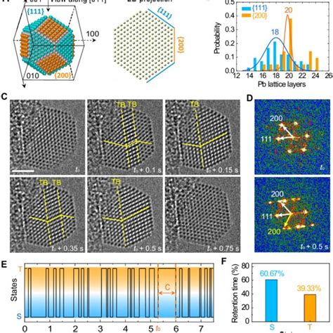 Direct Observation Of The Structural Fluctuation Between Single Crystal Download Scientific