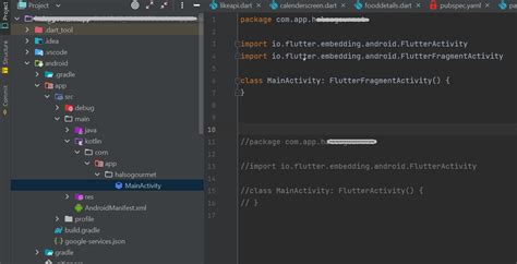 Stripe Payment Gateway Integration In Flutter 2023