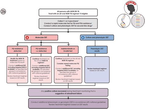 64 Algorithm 2 Dst For Second Line Drugs For People With Mdrrr Tb