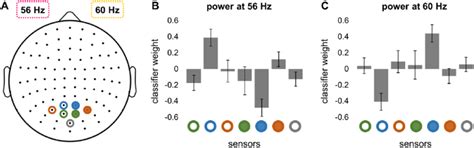 Selected Gradiometers And Classifier Weights At The Group Level A