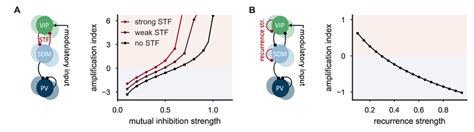 Connectivity Properties Of The Som Vip Motif Support The Amplification Download Scientific