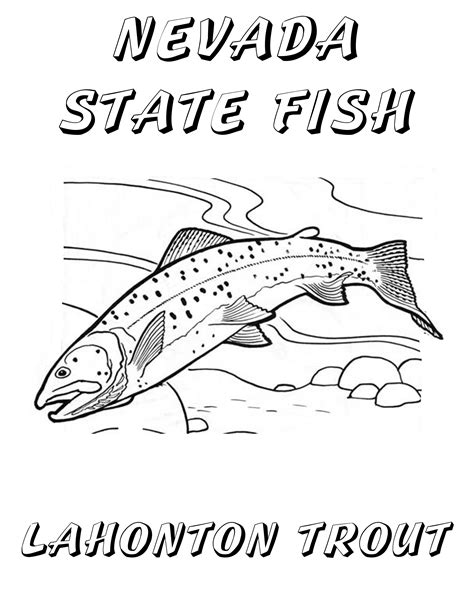 Brook Trout Coloring Page At Free Printable