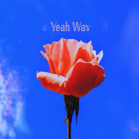 ‎who You Foolin Single Album By Yeah Wav Apple Music