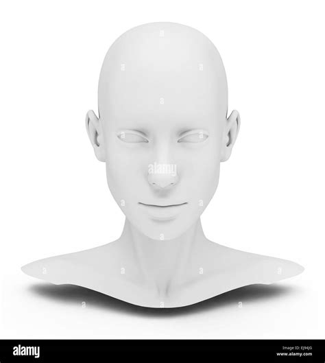 Anatomia Della Testa Immagini E Fotografie Stock Ad Alta Risoluzione