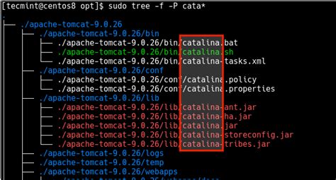 Linux ‘tree Command Usage Examples For Beginners