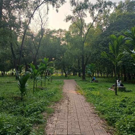 Sadik Hossain Husngg • Instagram Photos And Videos
