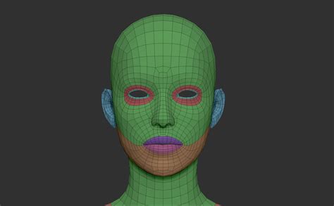 Female Base Mesh D Model Obj Fbx Ztl Free D