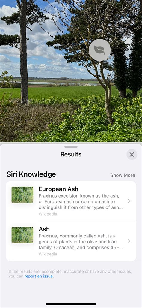 Visual Look Up Is Getting A Lot More Useful In Ios 17 Macworld