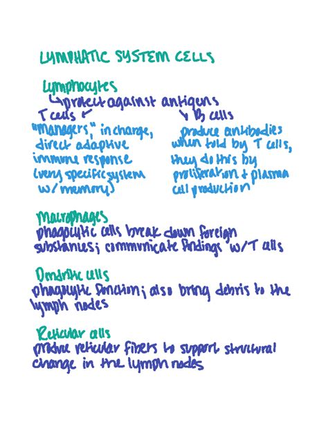 Lymphatic System Notes Lymphatic System Cells Lymphocytes Protect