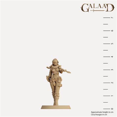 Celina The Rogue 3d Printed Miniature — Empire Of Minis