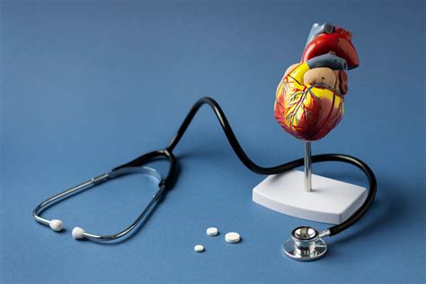 Heart Disease Prevention A Comprehensive Guide Meds Highway
