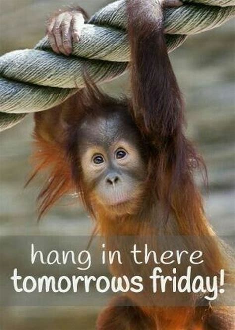 101 Funny Thursday Memes That Work Day And Night To Make You Happy Thursday Humor Thursday