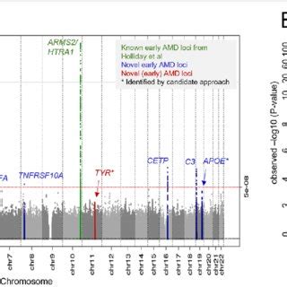 Advanced Vs Early AMD Effect Sizes Shown Are Advanced AMD Effect Sizes Download Scientific