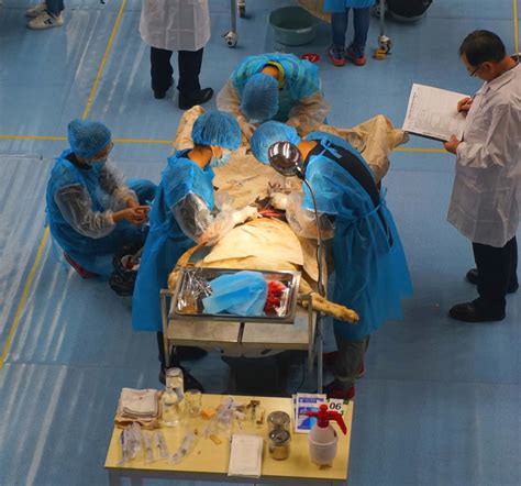 动医学子喜获全国“生泰尔杯”大学生动物医学专业技能大赛一等奖 四川农业大学新闻网