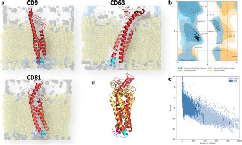 Ab Initio Modelling Of Tetraspanins Cd9 Cd63 And Cd81 A Download Scientific Diagram