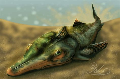 Did Really Dunkleosteus And Other Placoderms Had Their Shield Bones