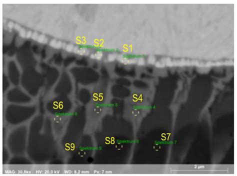 Microstructural Properties Of Particle Reinforced Multilayer Systems Of 316l And 430l Alloys On