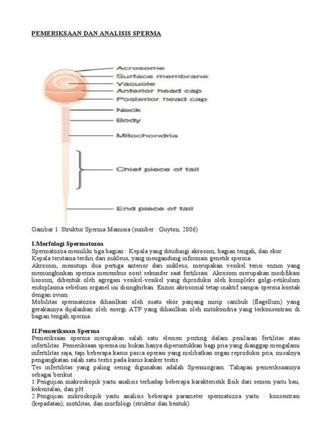 Pemeriksaan Dan Analisis Sperma Pdf
