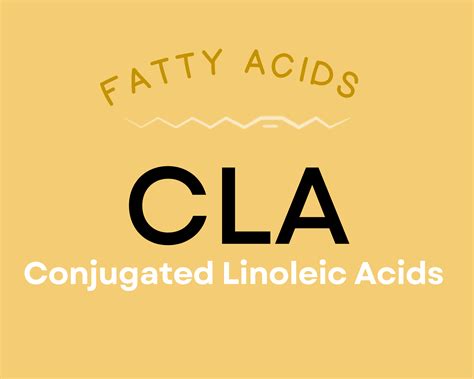 Conjugated Linoleic Acid Pathway At Randy Stambaugh Blog