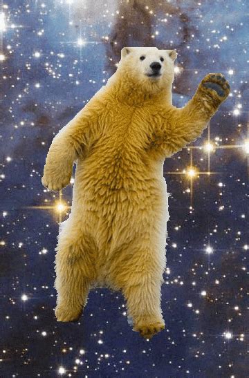 Bear  Ice