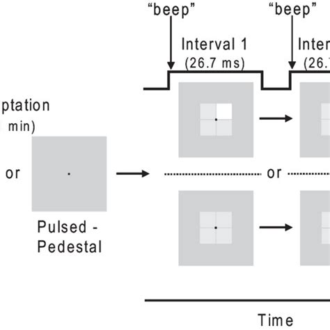 Schematic Representation Of A Trial Illustrating Stimulus Download