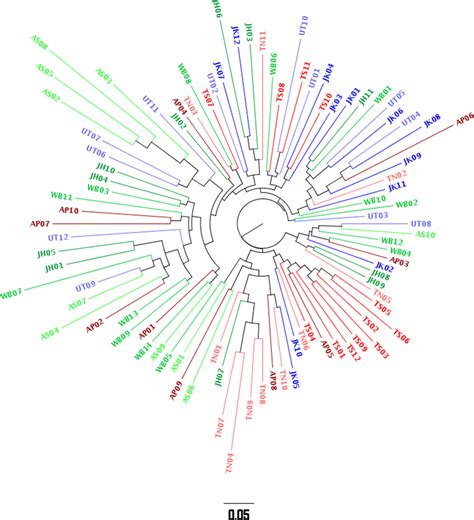 Phylogenetic Tree Based On The Unifrac Distance Each Tip Denotes A Download Scientific Diagram