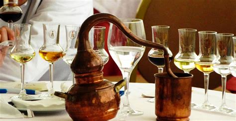 Vinos Y Sabores