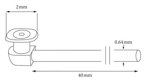 The Mini Monoka Stent Is Securely Anchored At The Punctum By The 2 Mm