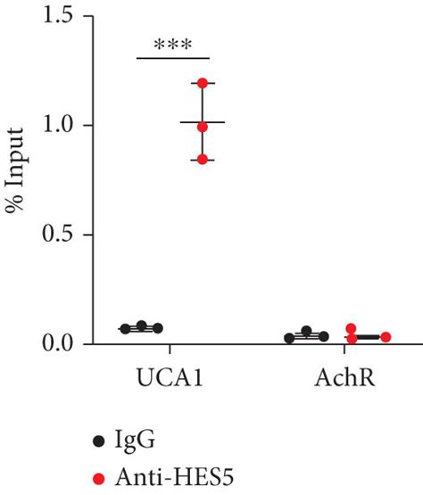 Hes5 Was Validated As Transcription Factor Of Uca1 A Jaspar