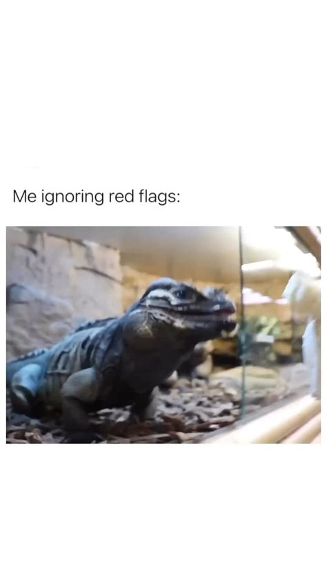Me Ignoring Red Flags Rshitposting