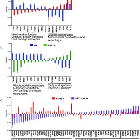 Reverse Phase Protein Array Rppa Analysis Wt And Sirt1 Deficient Download Scientific Diagram