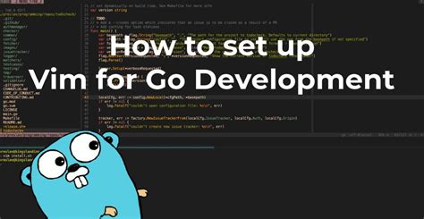 How To Setup Vim For Go Development Rvim