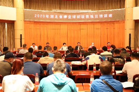 多方发力为第一批湖北省棒垒球教练员打call！ 湖北省社会体育管理中心