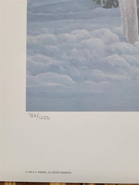 Breaking The Silence Wolves Canis Lupus Signed Limited Edition