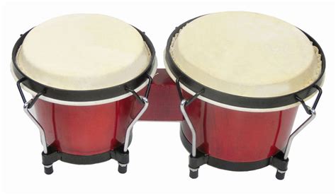 Bongo Clipart Clipground