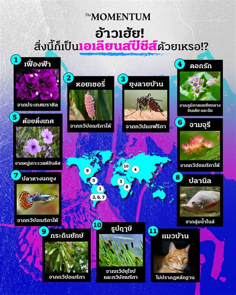 อ้าวเฮ้ย สิ่งนี้ก็เป็นเอเลียนสปีชีส์ด้วยเหรอ