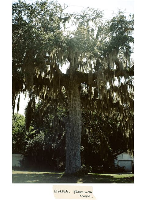 Design Dissertation Visvim