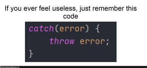 Definitely Useless ProgrammerHumor Io