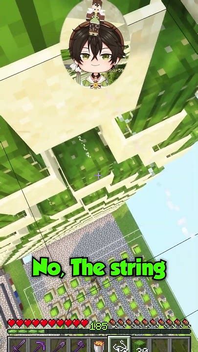 The String Minecraft Skyblock Neonetwork Youtube