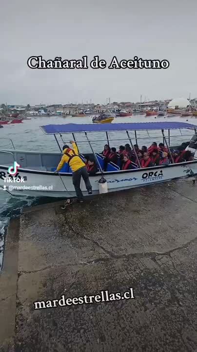 Marcelo Ramirez Posted On Linkedin