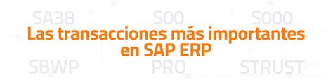 Todo Sobre Las Transacciones En Sap
