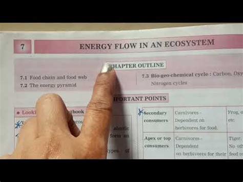 Std 9th Science Chp 7 Energy Flow In An Ecosystem Textbook