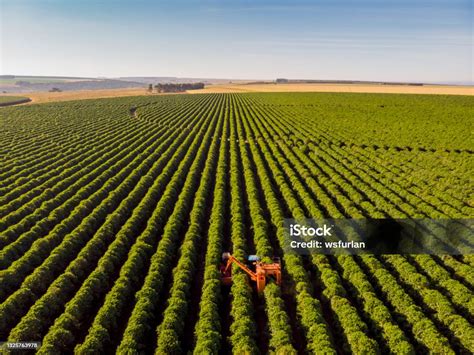 커피 결합 수확기 농업에 대한 스톡 사진 및 기타 이미지 농업 커피 들 Istock