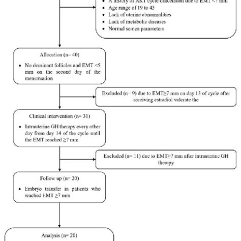 Consolidated Standards Of Reporting Trials Consort Flow Diagram Emt
