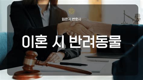 이혼 시 반려견 양육권 법적 해결 방법 로톡