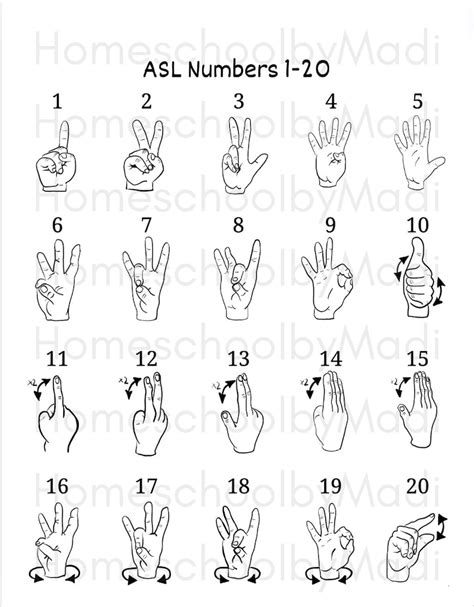 Asl Numbers 1 20 Printable Etsy